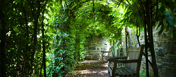 University greenhouses power the flowers in Princeton's gardens