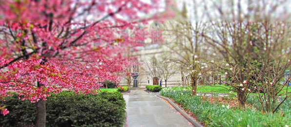 University greenhouses power the flowers in Princeton's gardens