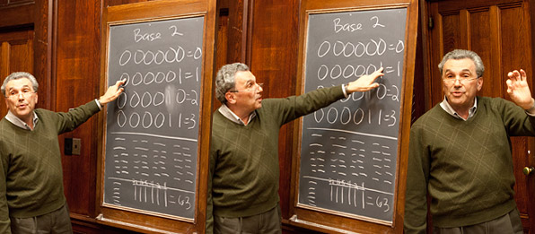 Reflecting on urban environments and ecology through images