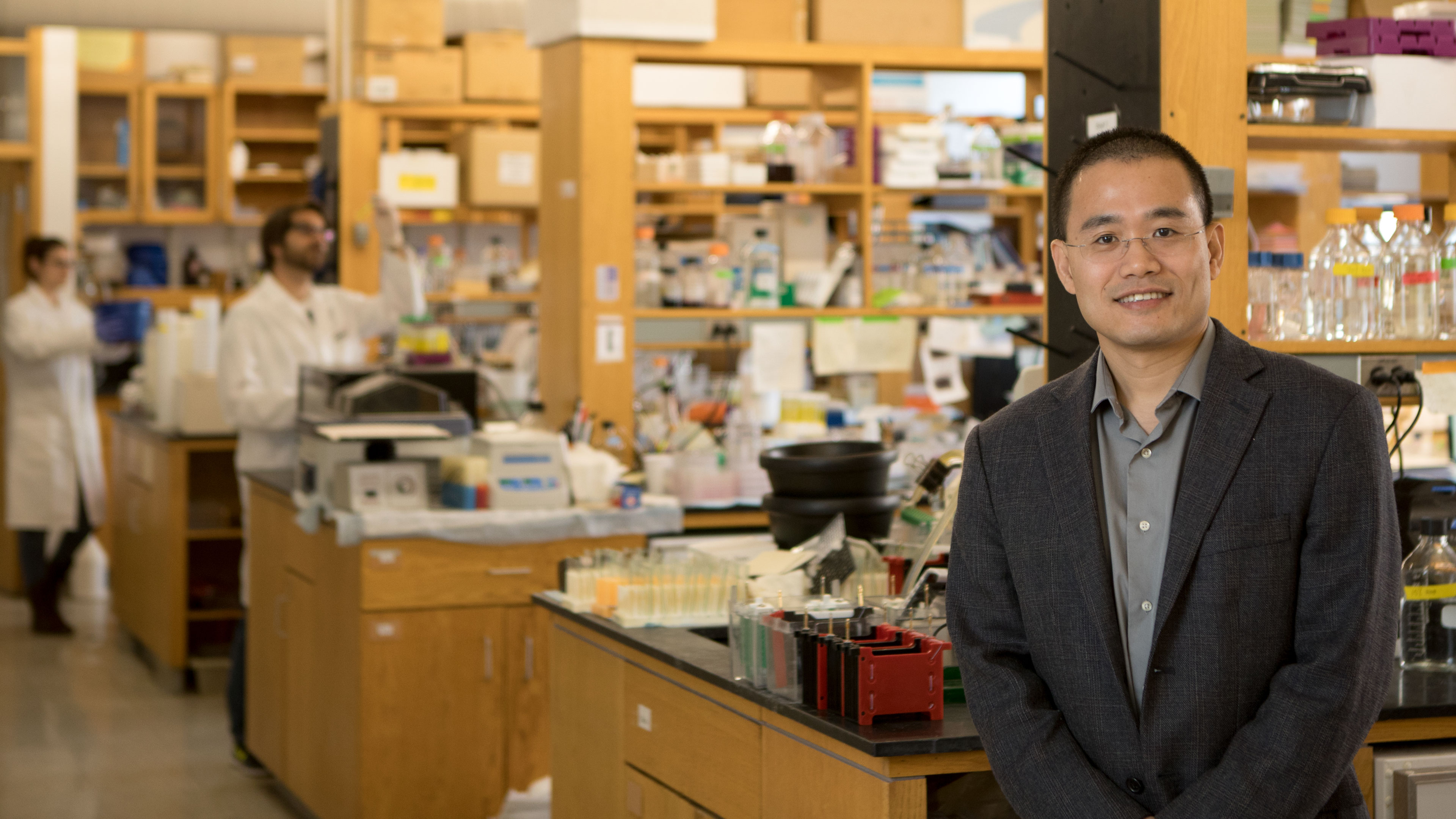 New cancer therapy from Yibin Kang's lab holds potential to switch off ...