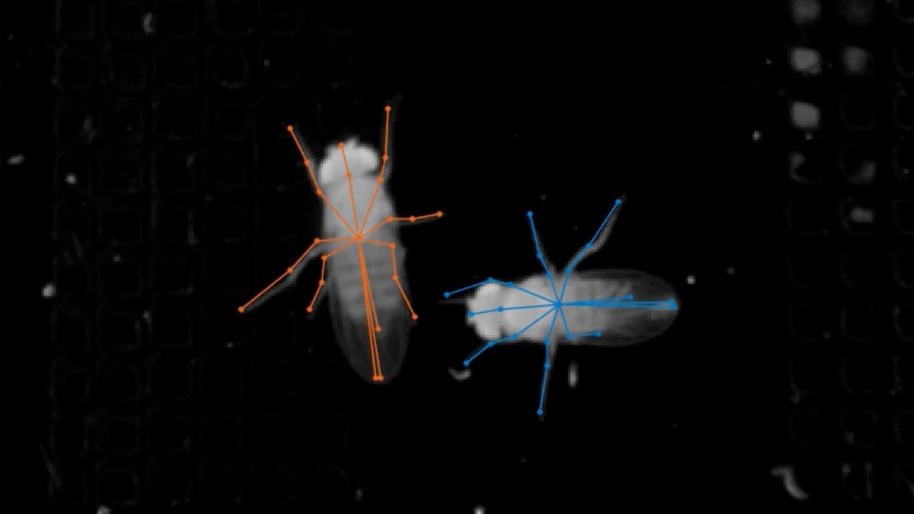 Research | Princeton University