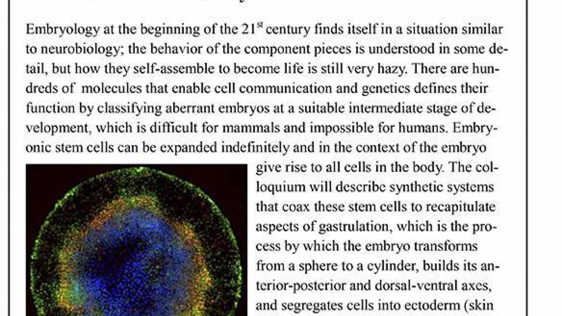 "Exploring embryonic patterning with colonies of human embryonic stem ...