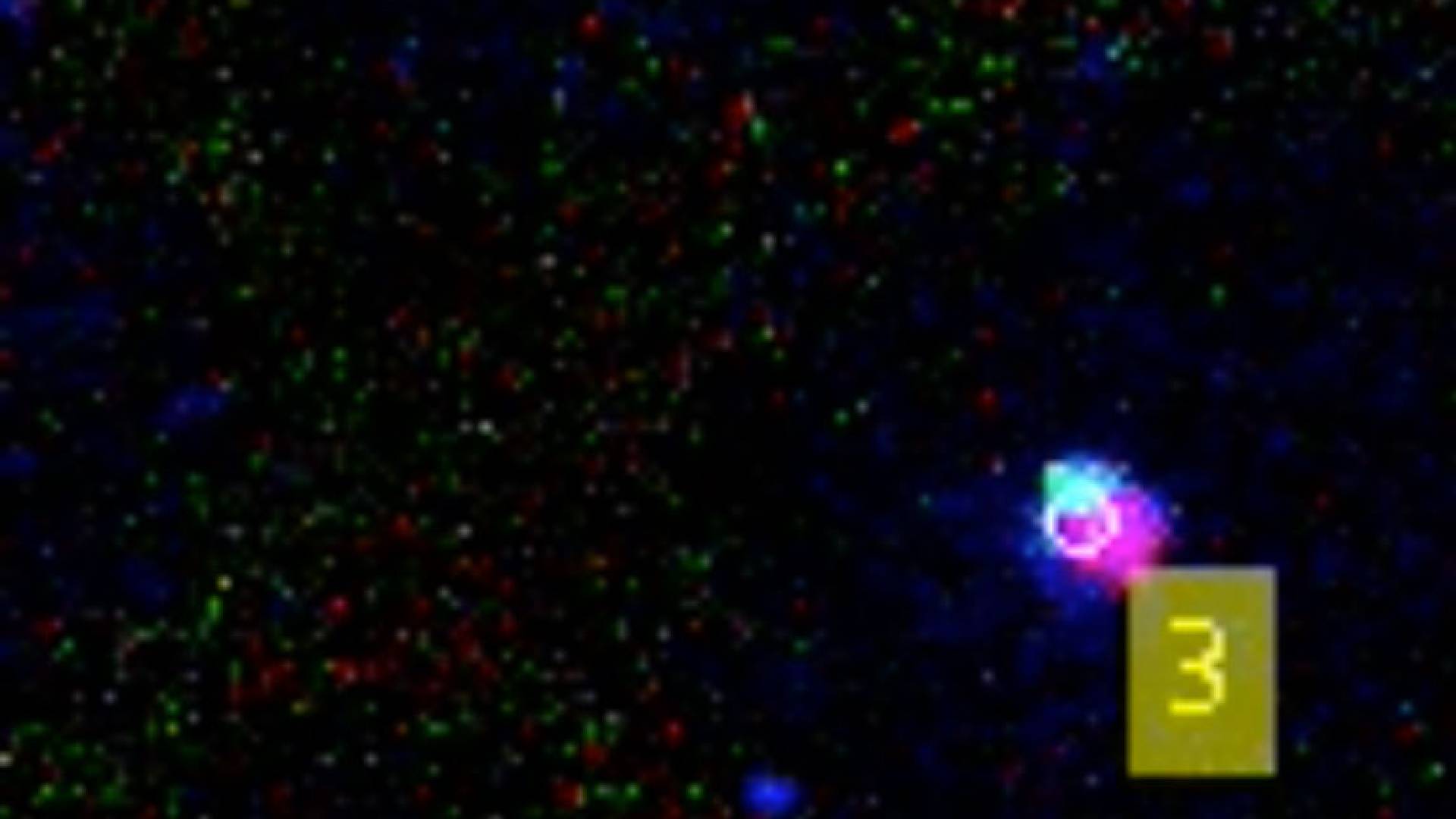 Imaging in living cells reveals how ‘junk DNA’ switches on a gene