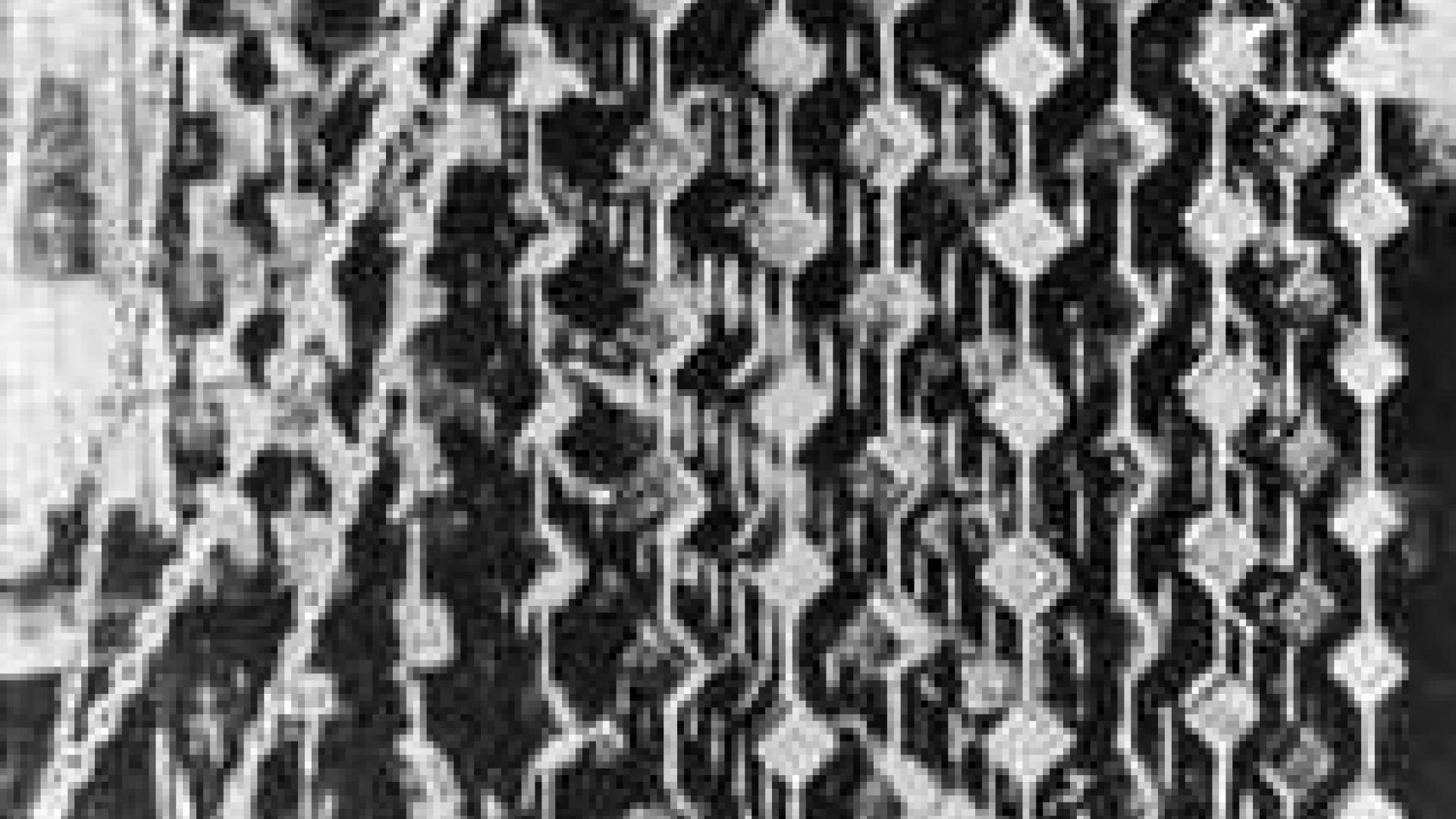 Hamilton Colloquium Series: "The Physicists in the Basement of the High ...