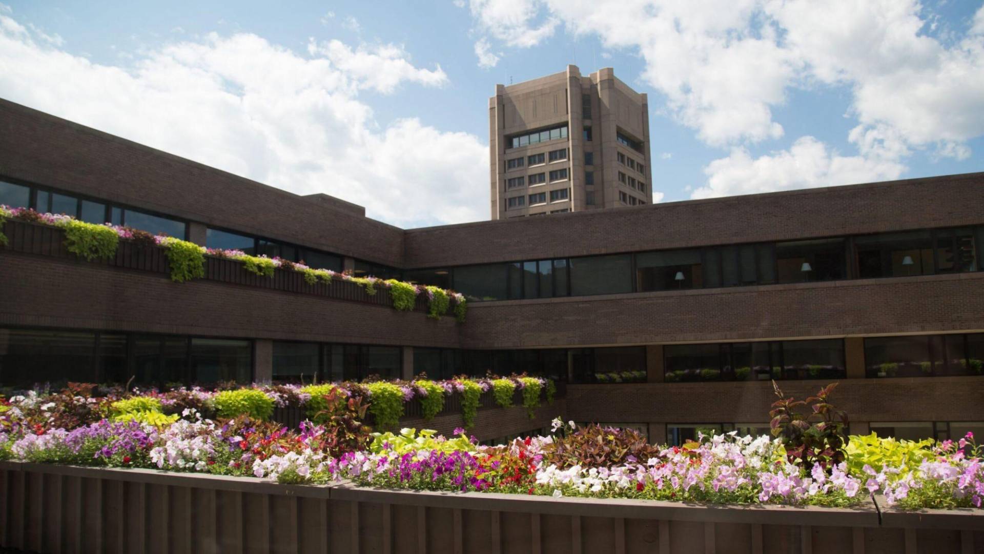 Certificate Recital: Jack Johnson, Saxophone