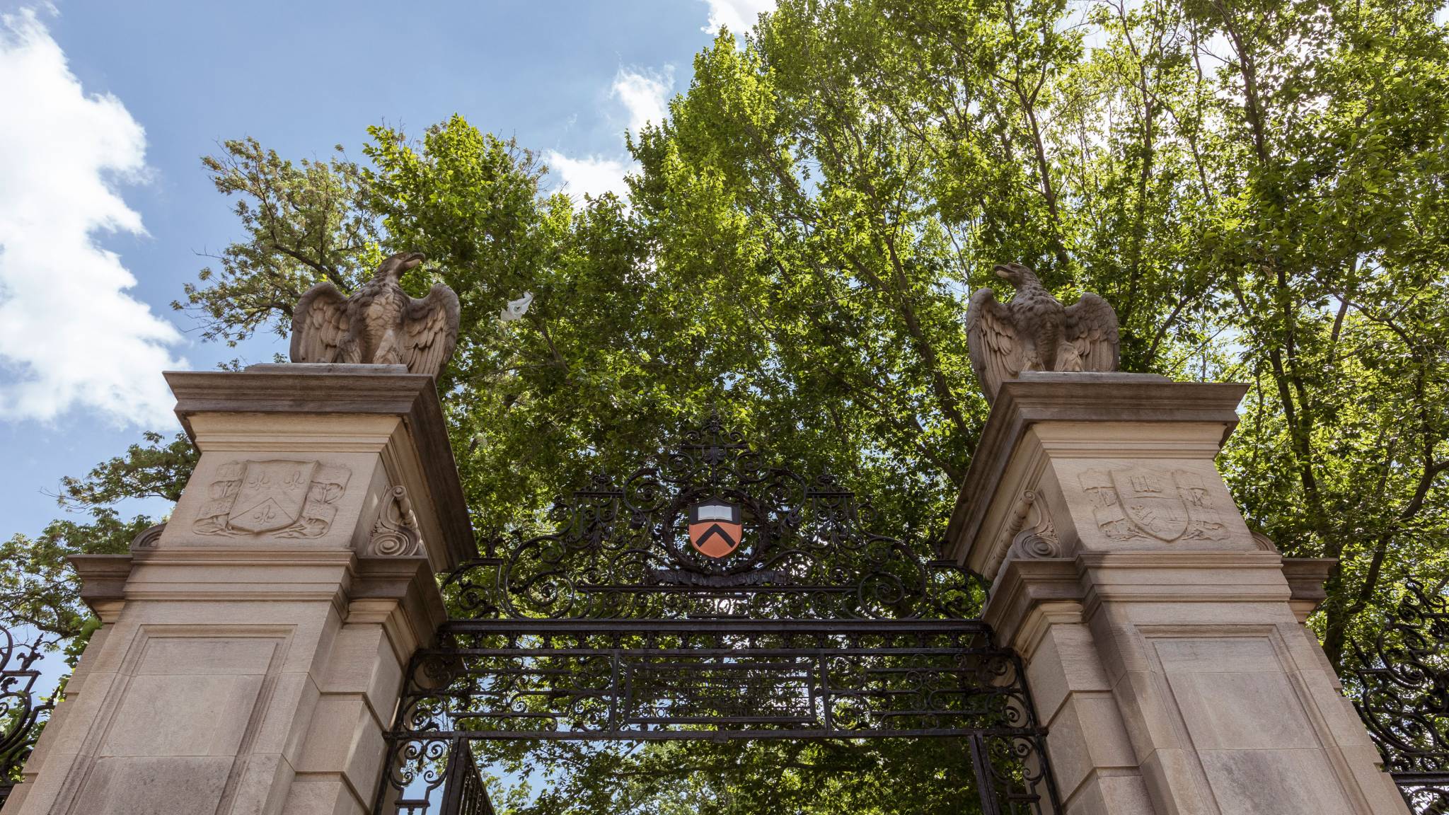 Through the gates: The myth surrounding FitzRandolph Gate