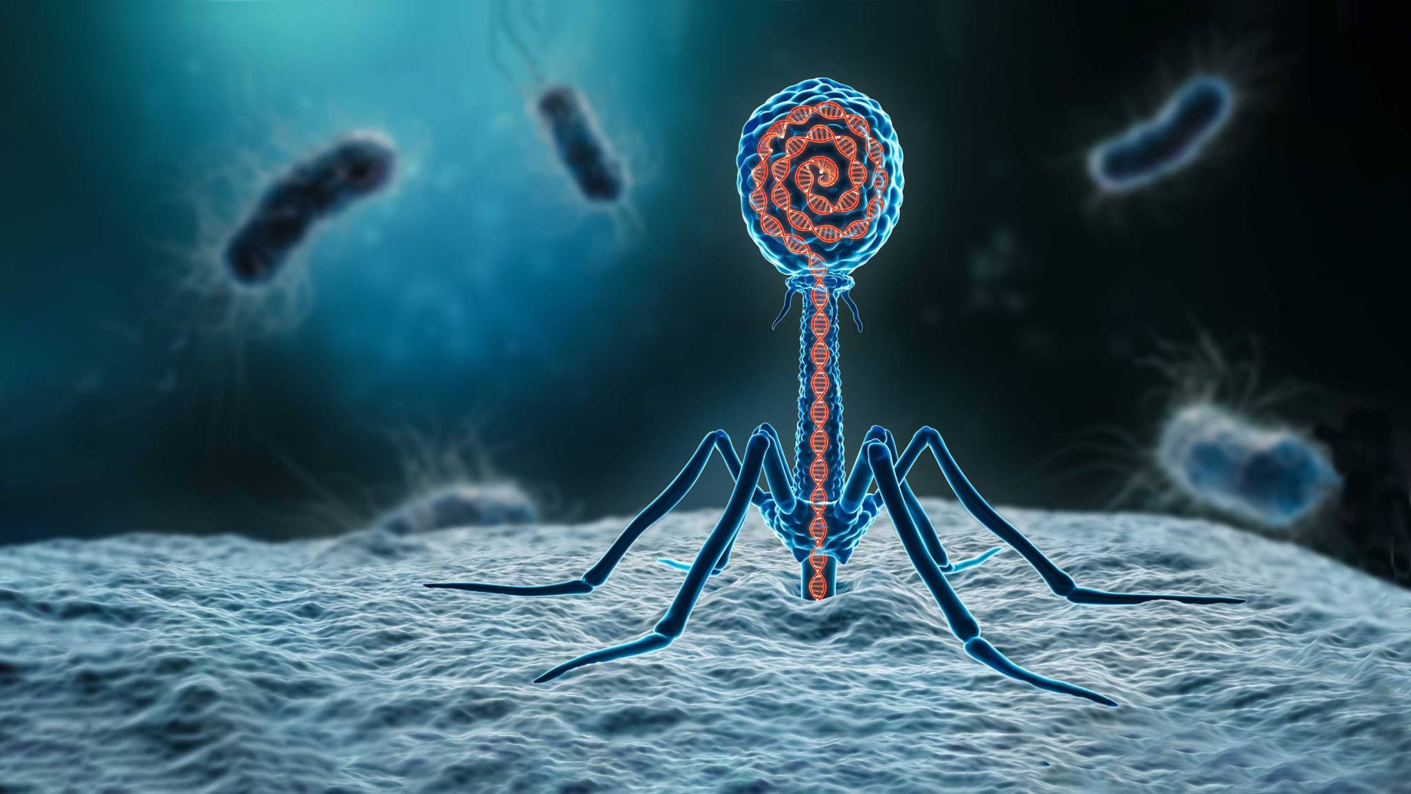 How eavesdropping viruses battle it out to infect us