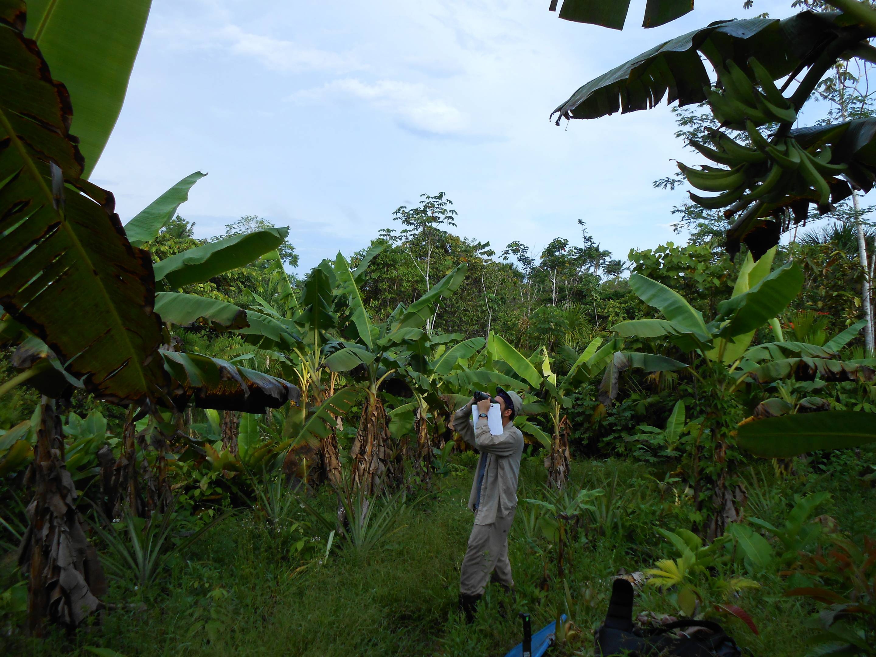 More farmers, more problems: How smallholder agriculture is threatening ...