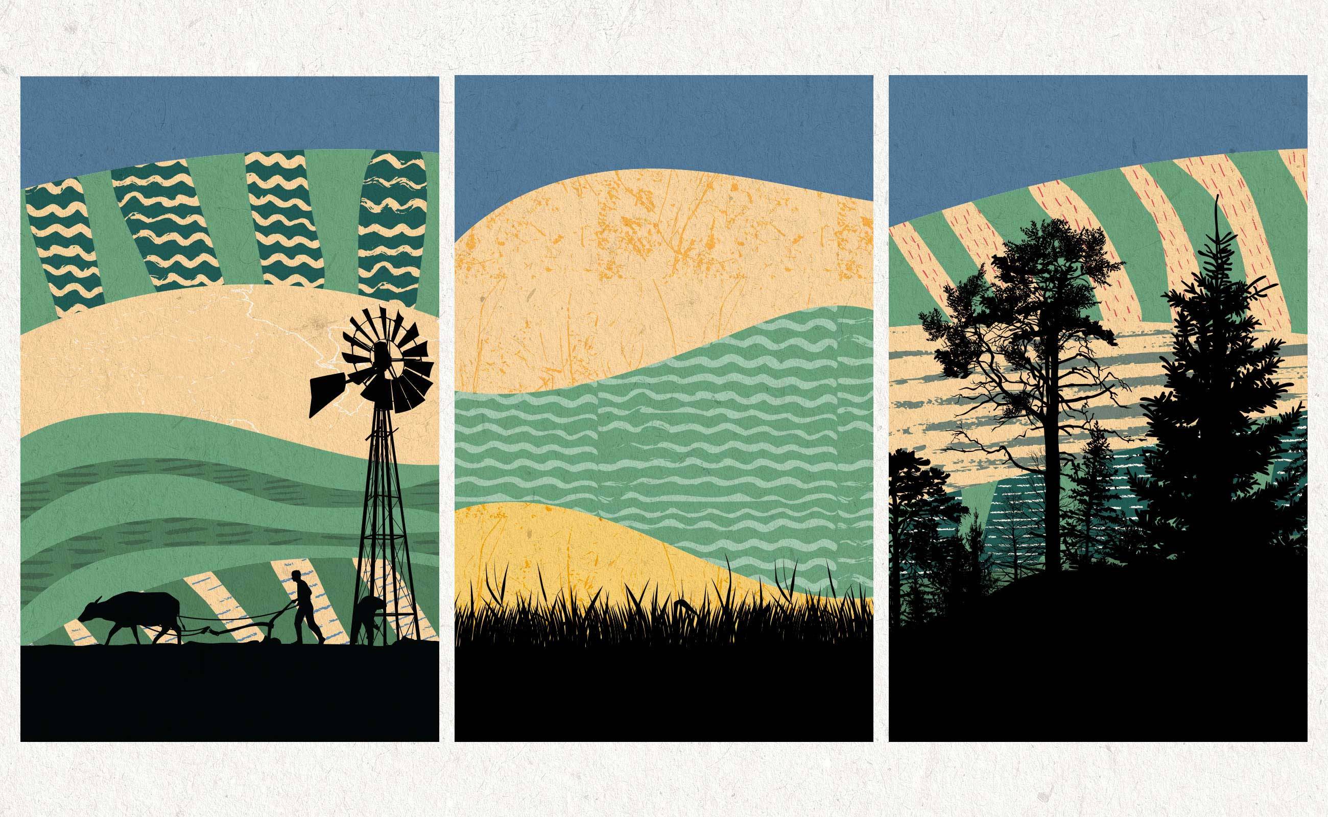 How restoring abandoned farms to natural habitats can mitigate climate ...