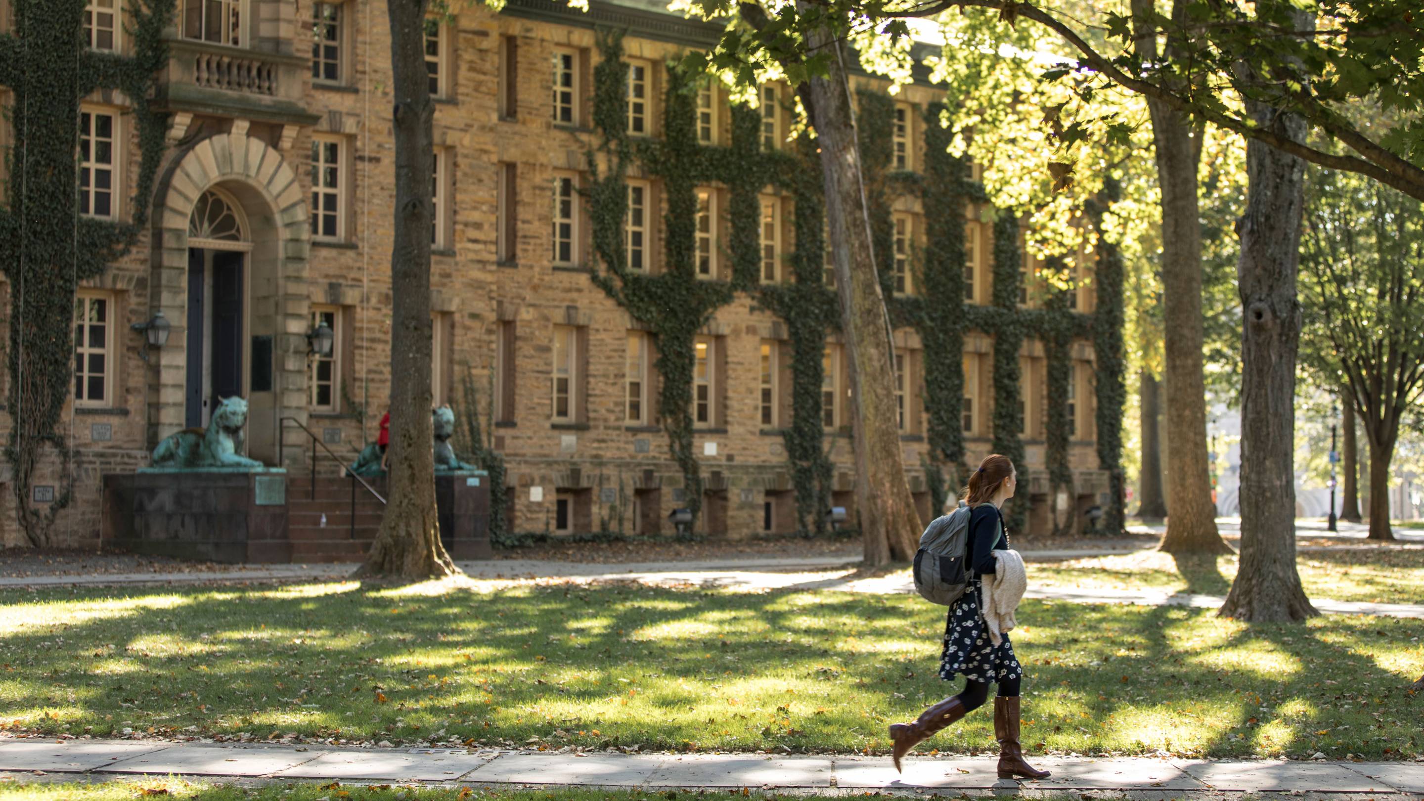 Princeton offers transfer admission process for undergraduate students