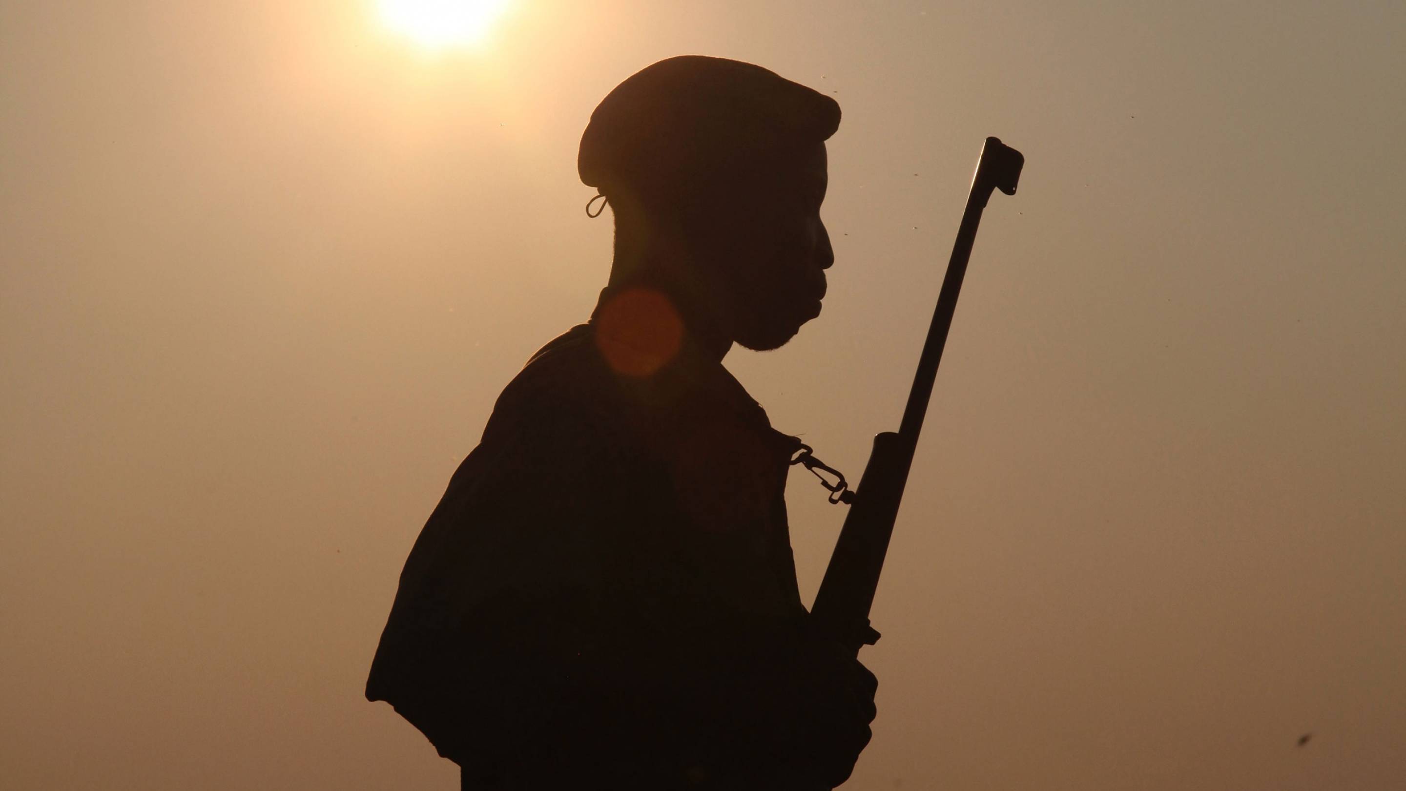 The ecological costs of war in Africa