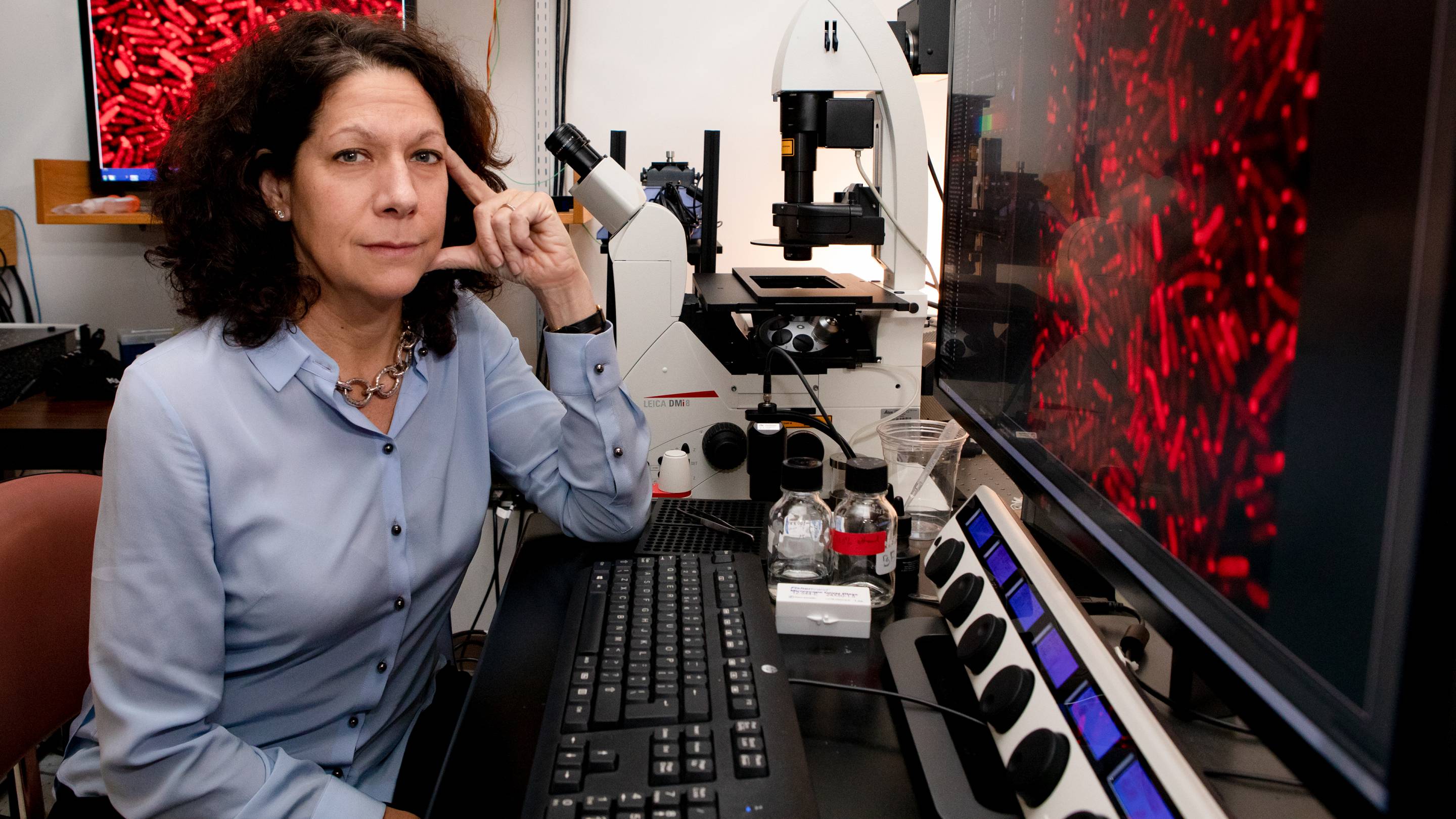 Our Faculty | Princeton University