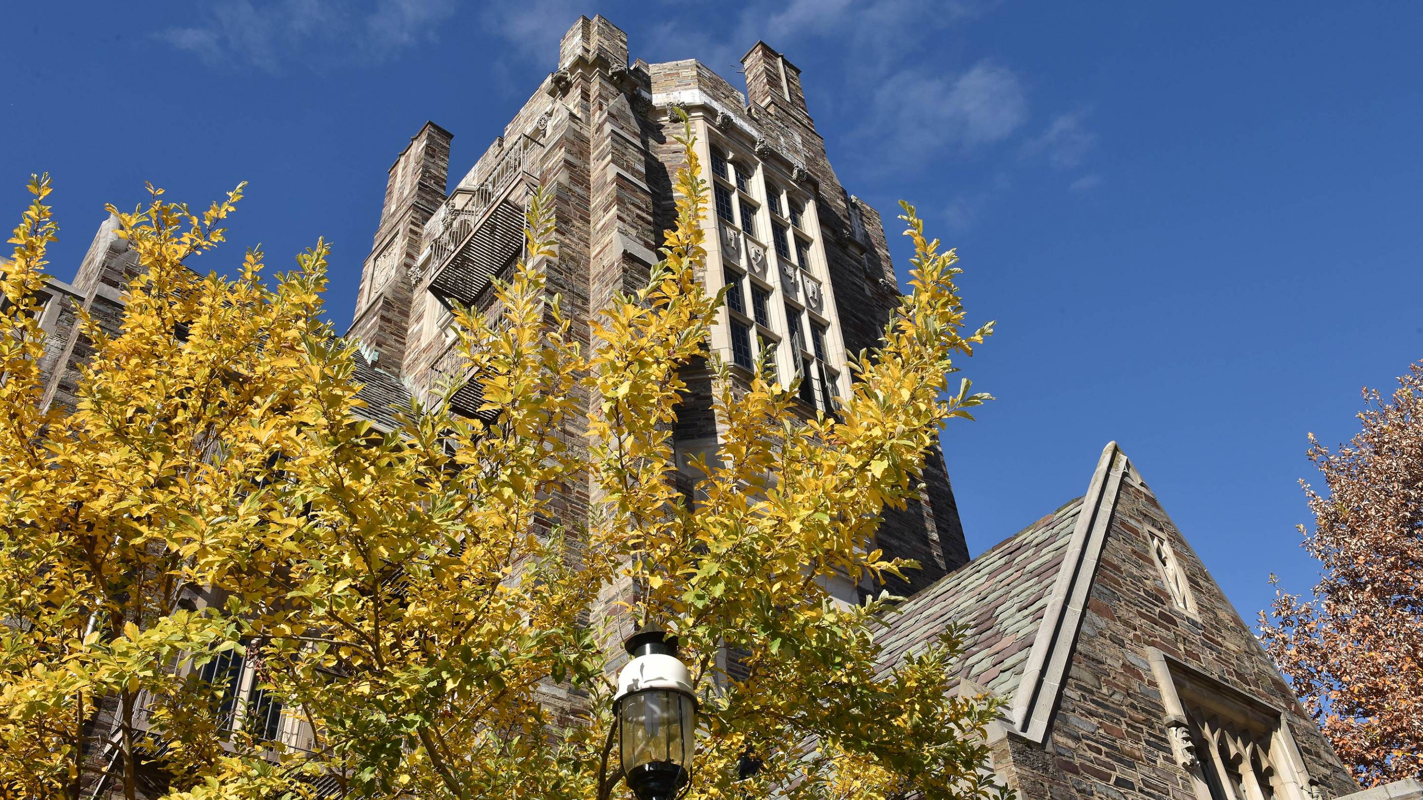 Princeton offers admission to 13 transfer students in third year of ...