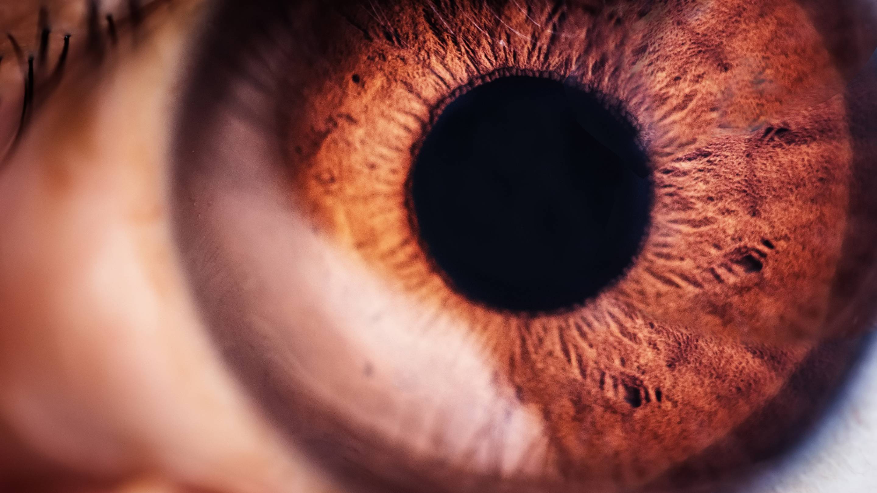 In new cognitive research, people's eyes reveal that clichés are underrated