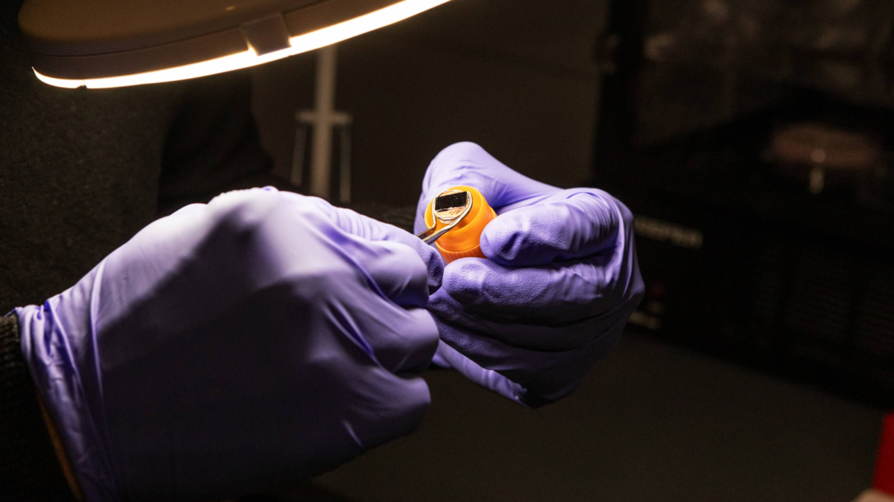 Princeton's world-class microscopes are making a giant impact in the ...