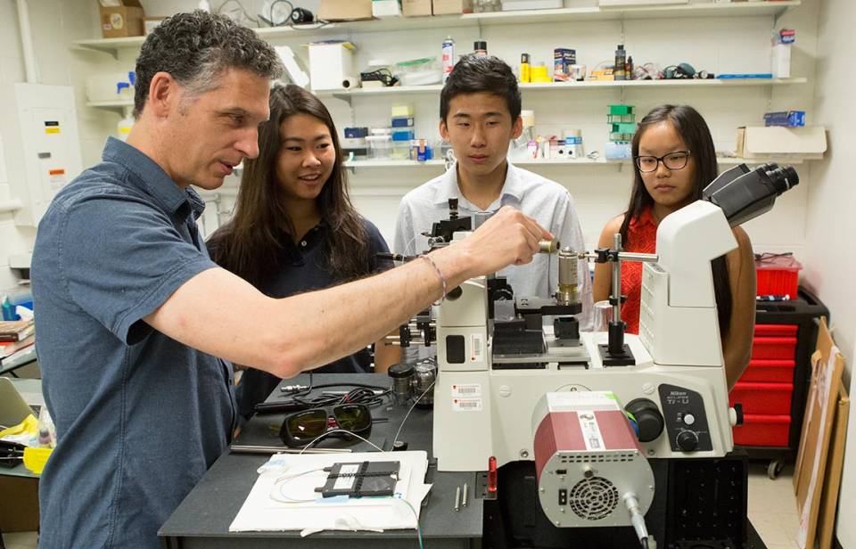 Summer program introduces high school students to laboratory research