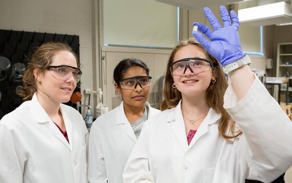 Summer program introduces high school students to laboratory research