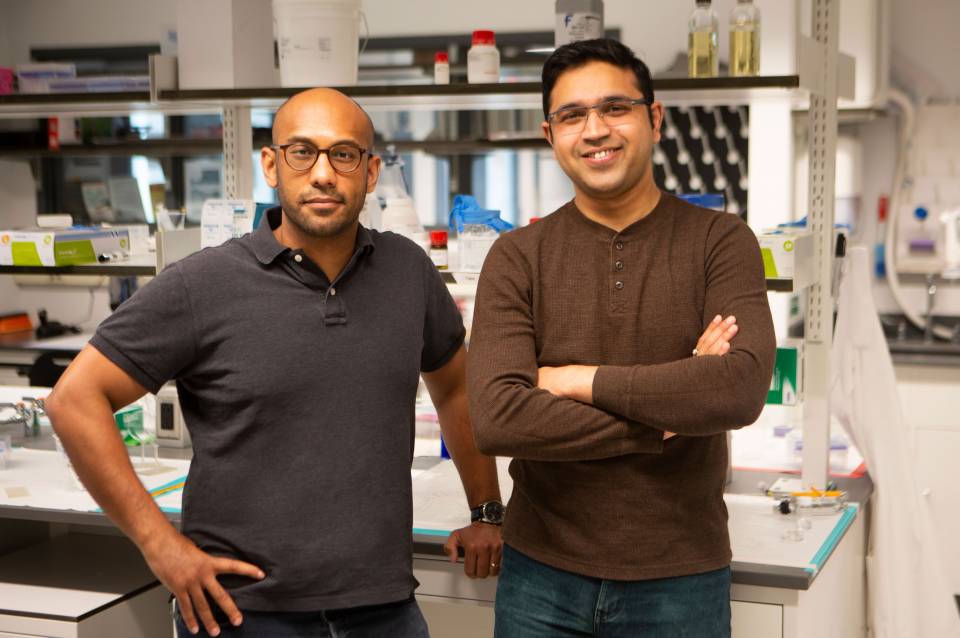 Hop to It: New look upends old concept of bacteria’s movement
