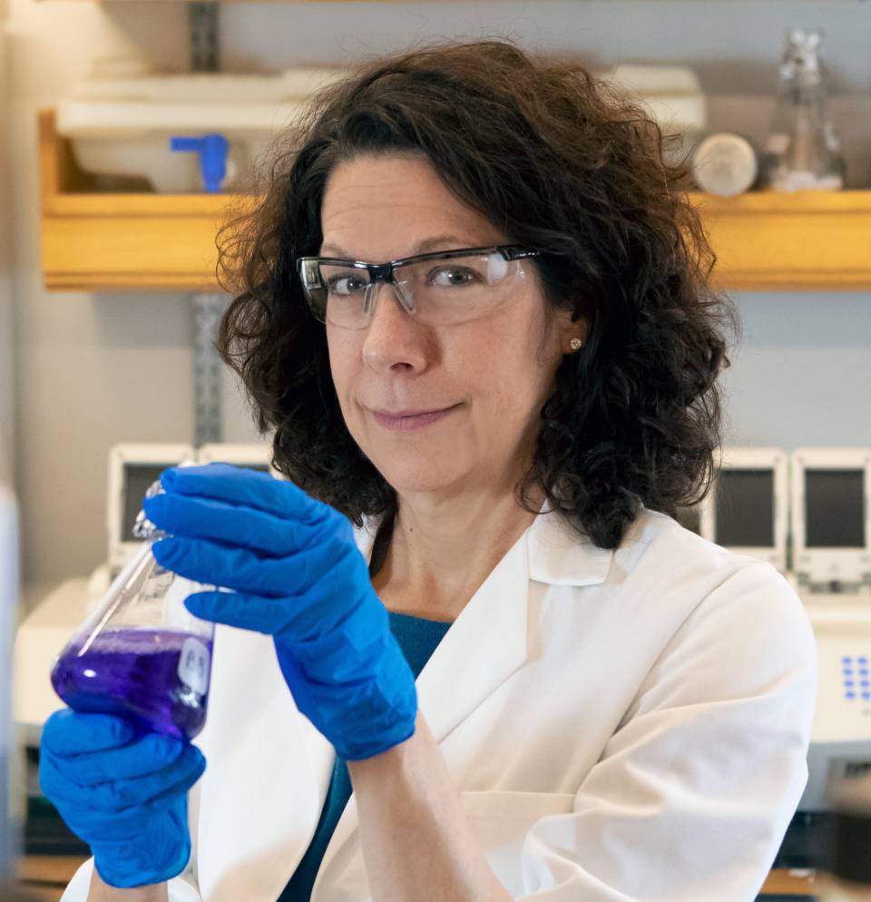 Bonnie Bassler wins the 2022 Microbiology Society Prize Medal