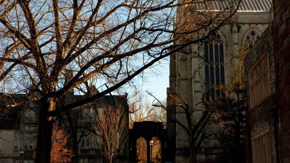 Princeton University