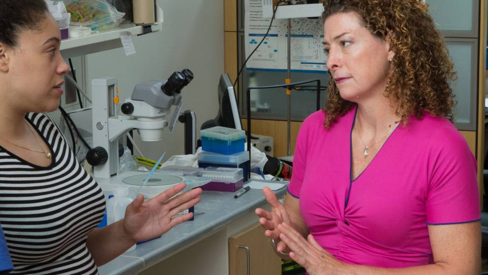 Our Faculty | Princeton University