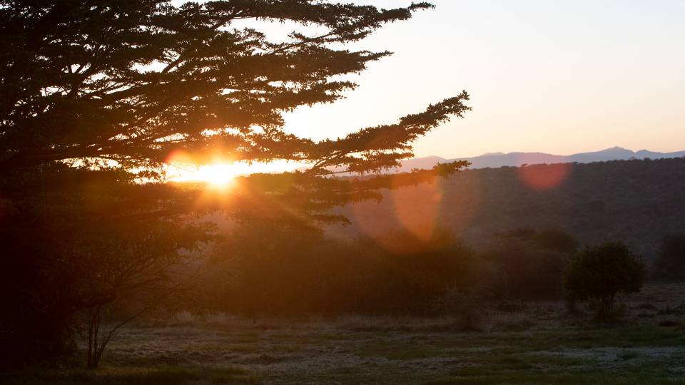 Mpala, Kenya: 'Walking where our ancestors walked'