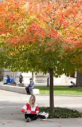 Video feature: 'Color Play: Princeton in Fall'