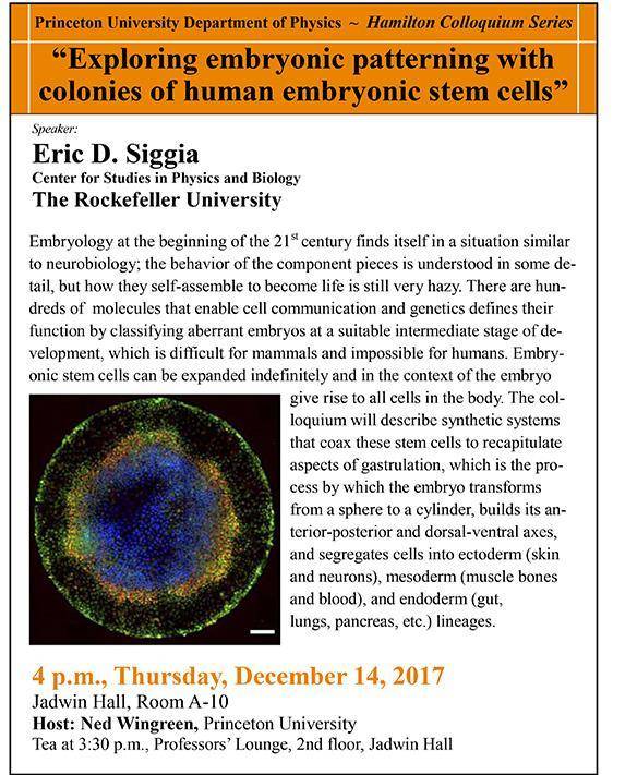 "Exploring embryonic patterning with colonies of human embryonic stem ...
