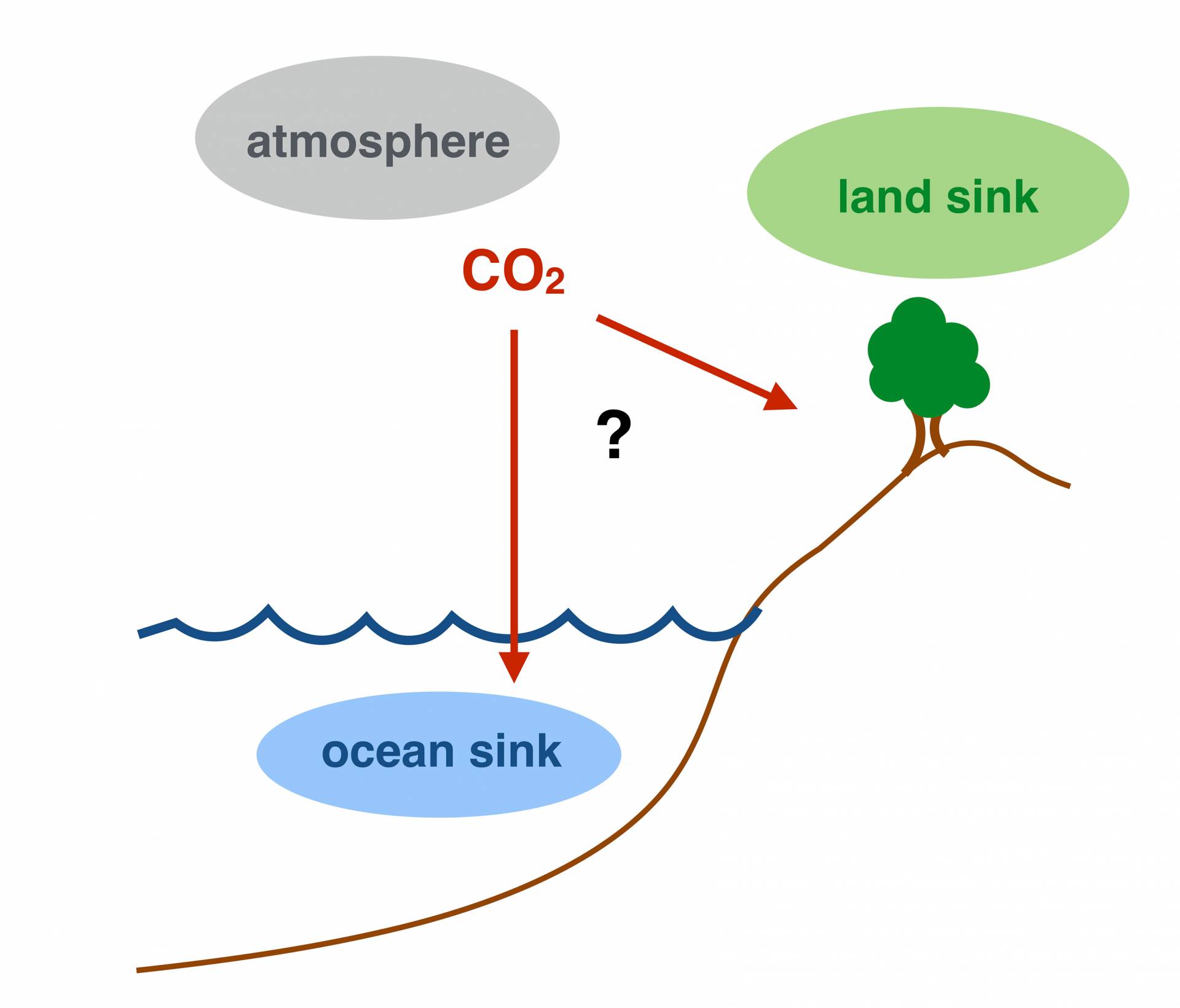 Ocean’s heat cycle shows that atmospheric carbon may be headed elsewhere