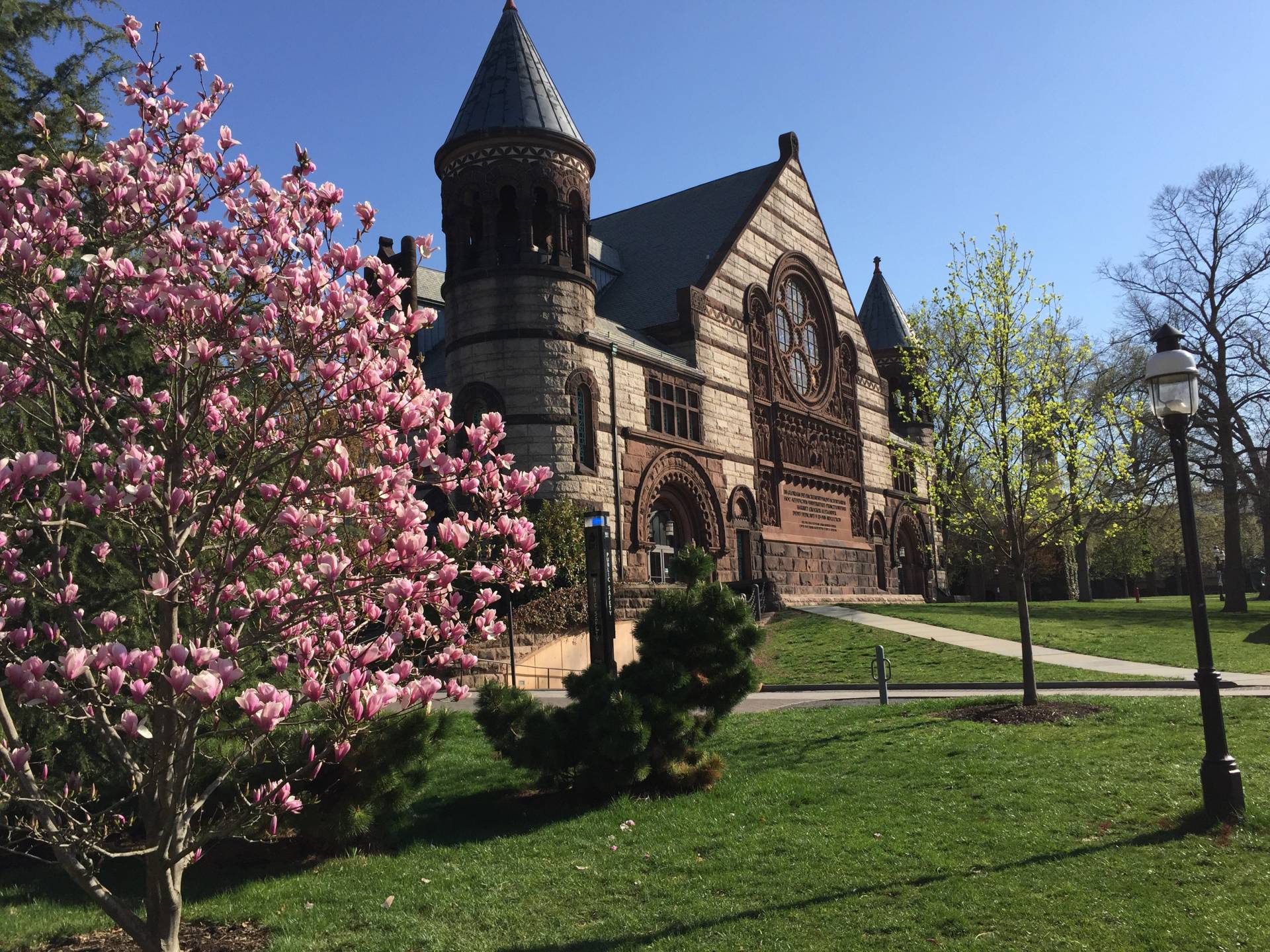 Princeton University