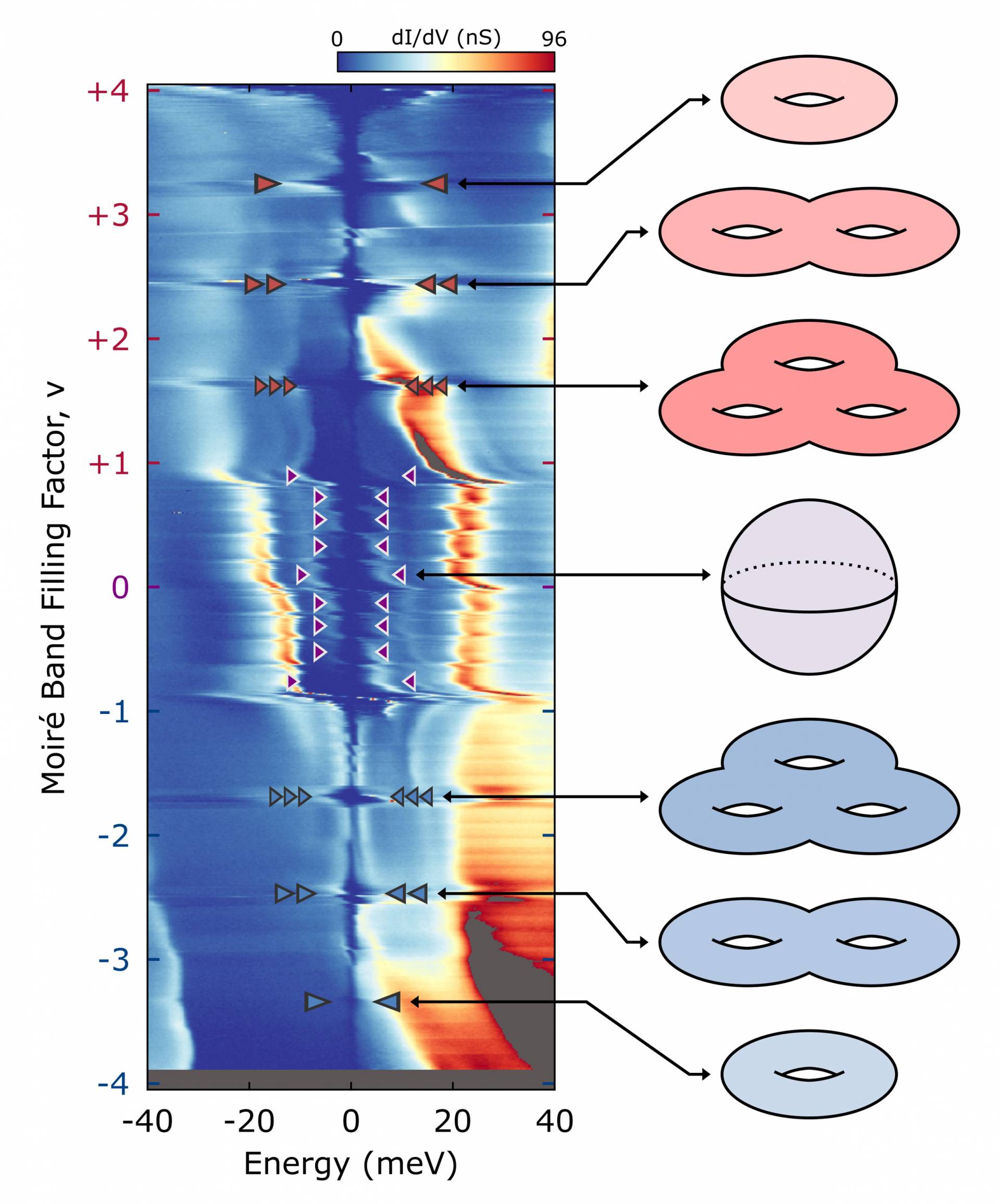 ‘Magic’ angle graphene and the creation of unexpected topological ...