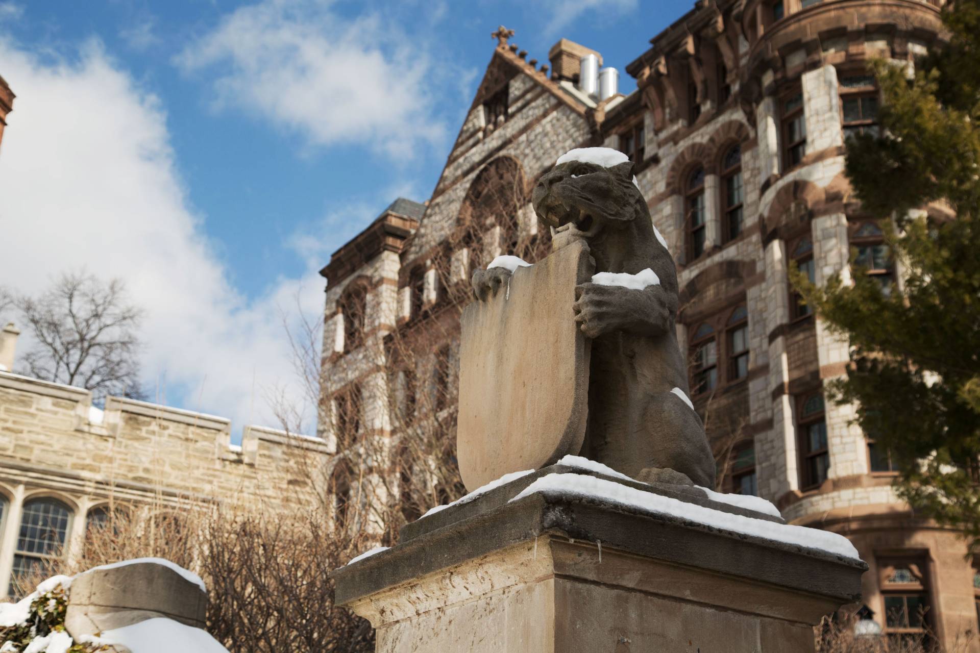 Princeton University