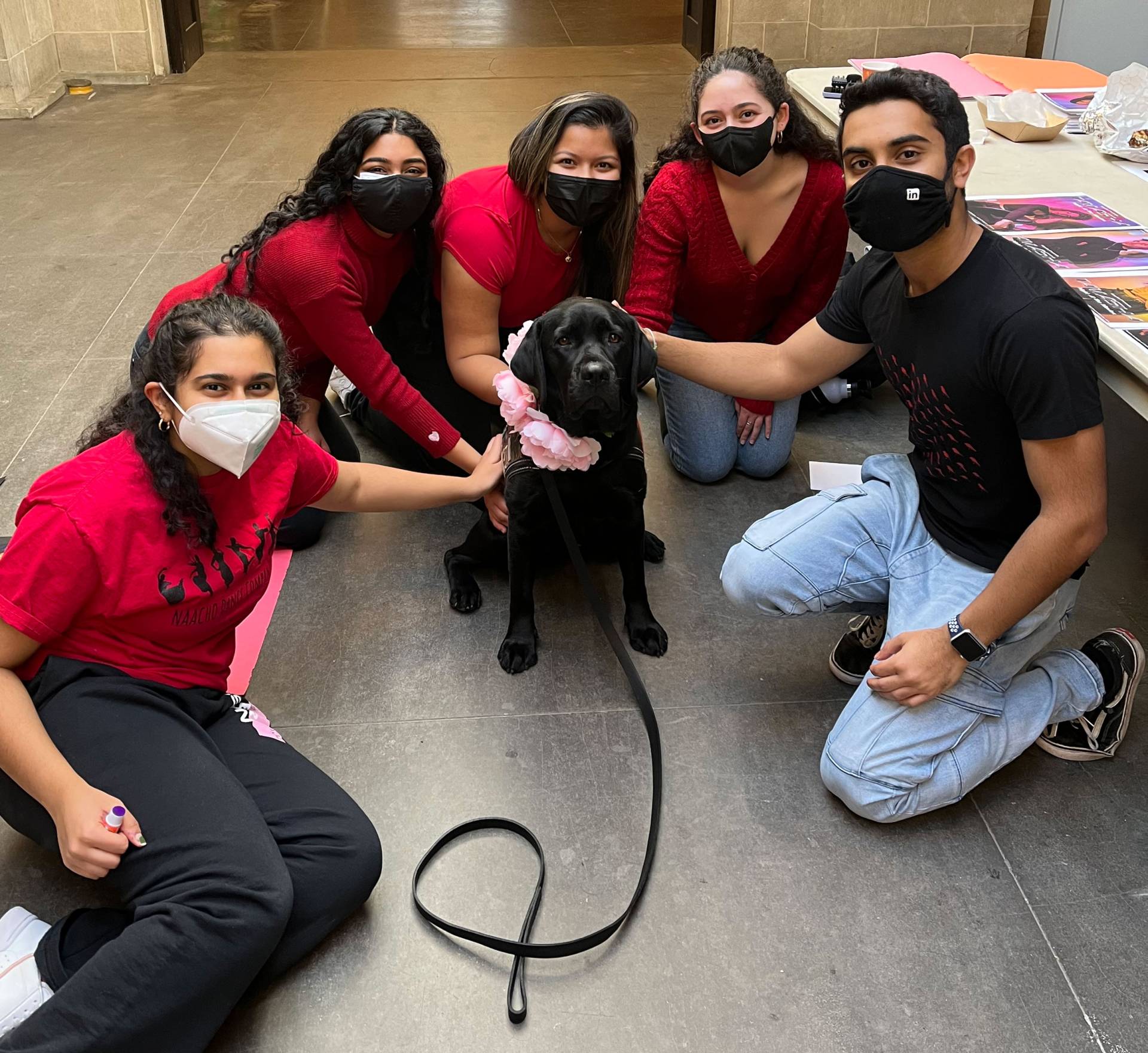 Meet Coach, the University's first full-time therapy dog (and her human ...