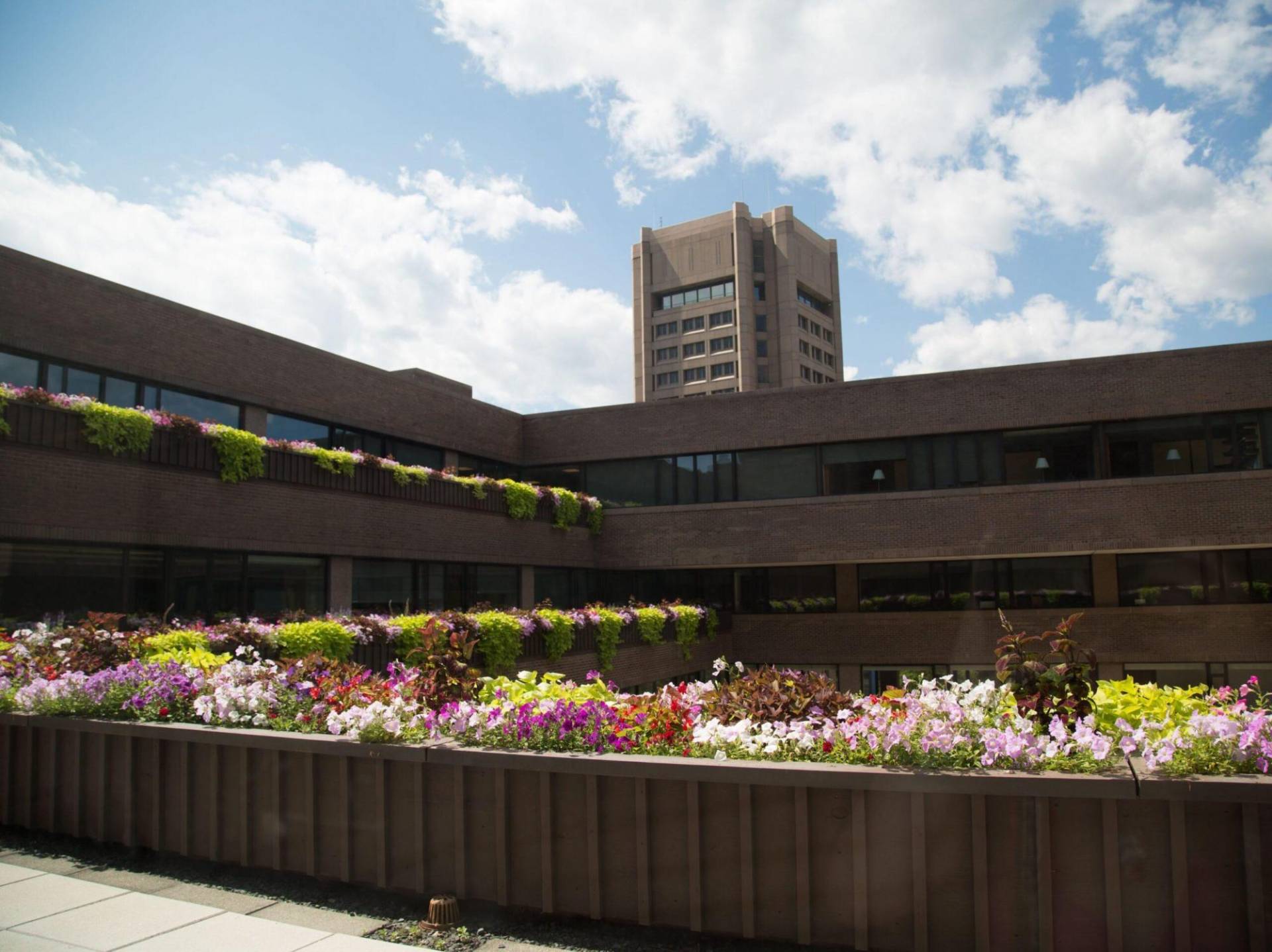Certificate Recital: Justin Yeo, Piano