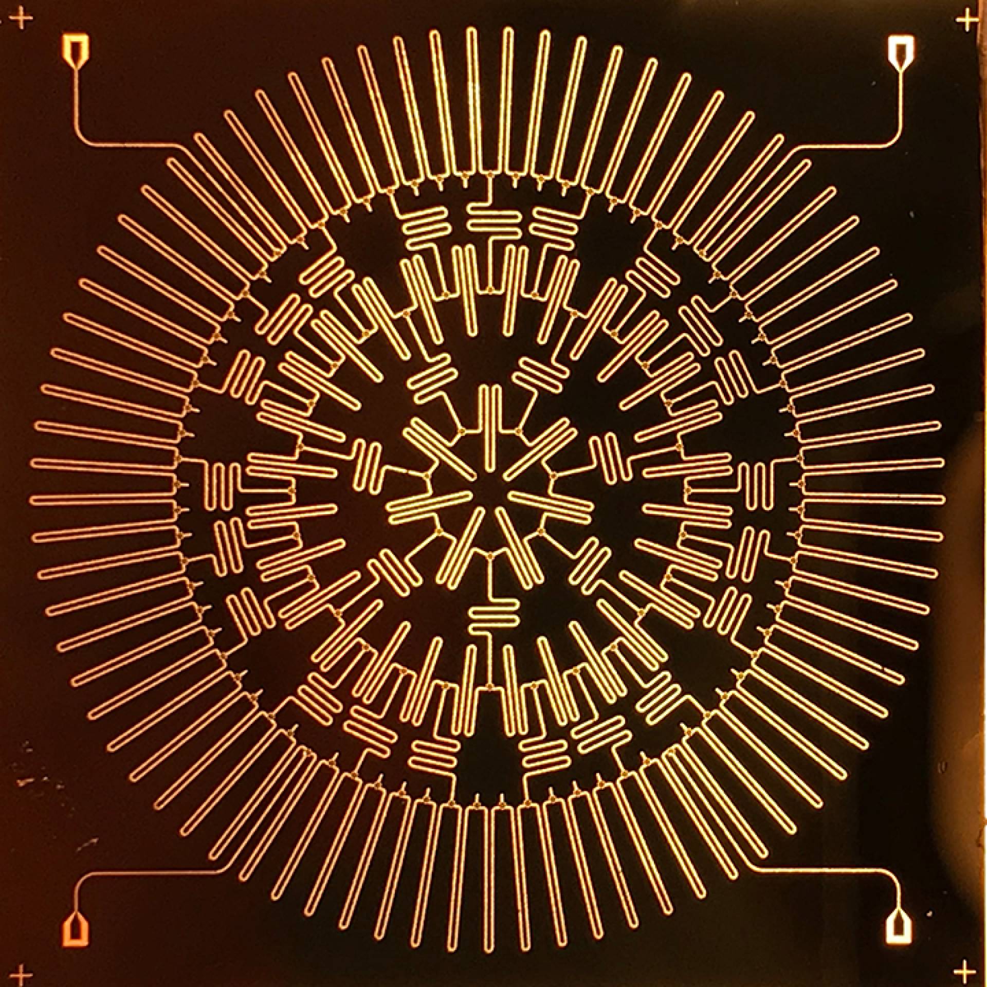 The Quantum Future | Princeton University