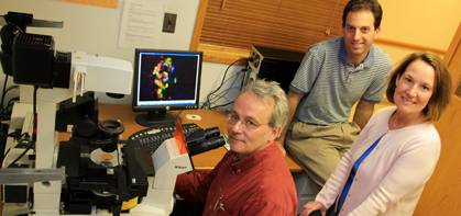 Princeton scientists explore the next frontier of stem cell research