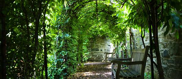 Discovering the secret gardens of Princeton