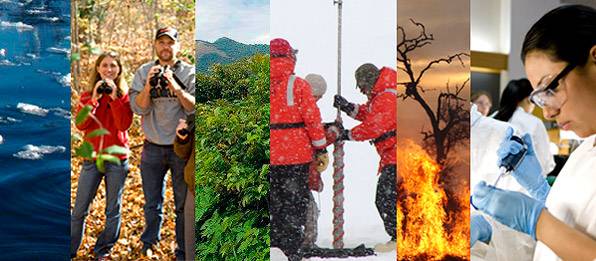 Video feature: 'Discover Princeton Environmental Institute'