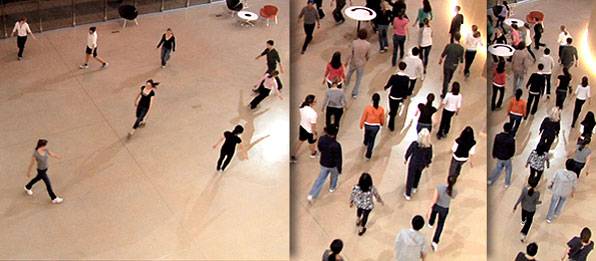 Video feature: 'Flock Logic' collaboration unites science and dance