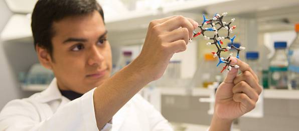 High school students pursue hands-on research through summer program