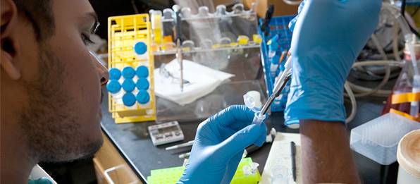 College students explore a summer of science in Princeton lab program