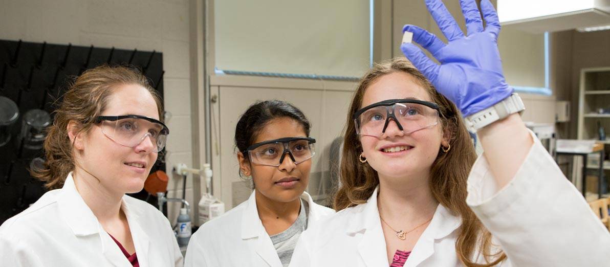 Summer program introduces high school students to laboratory research