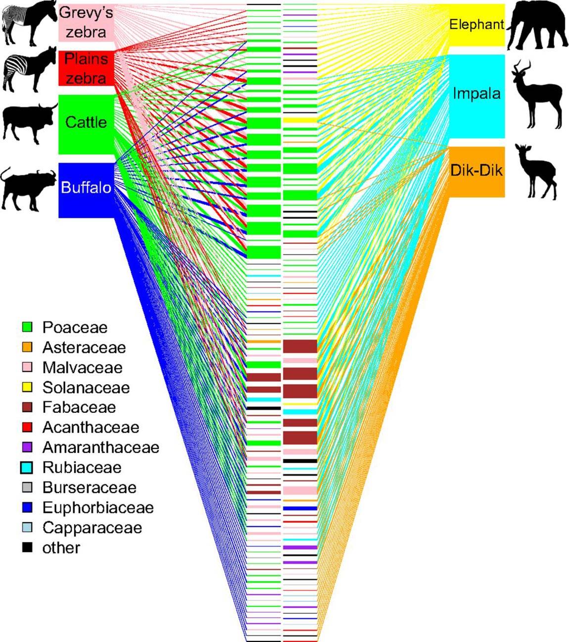 Understanding animal coexistence with a little dung and a lot of DNA
