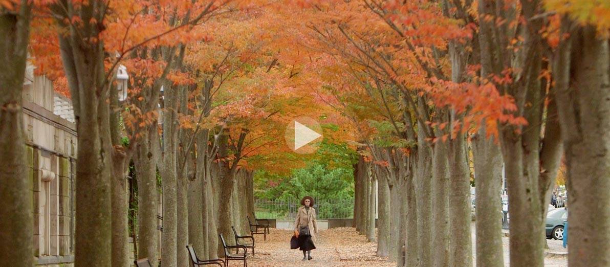 Video feature: Fall color transforms the Princeton campus
