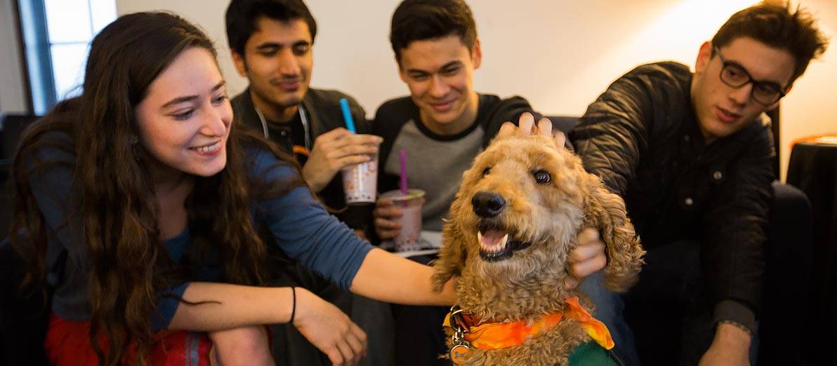 Students study, enjoy breaks during Reading Period