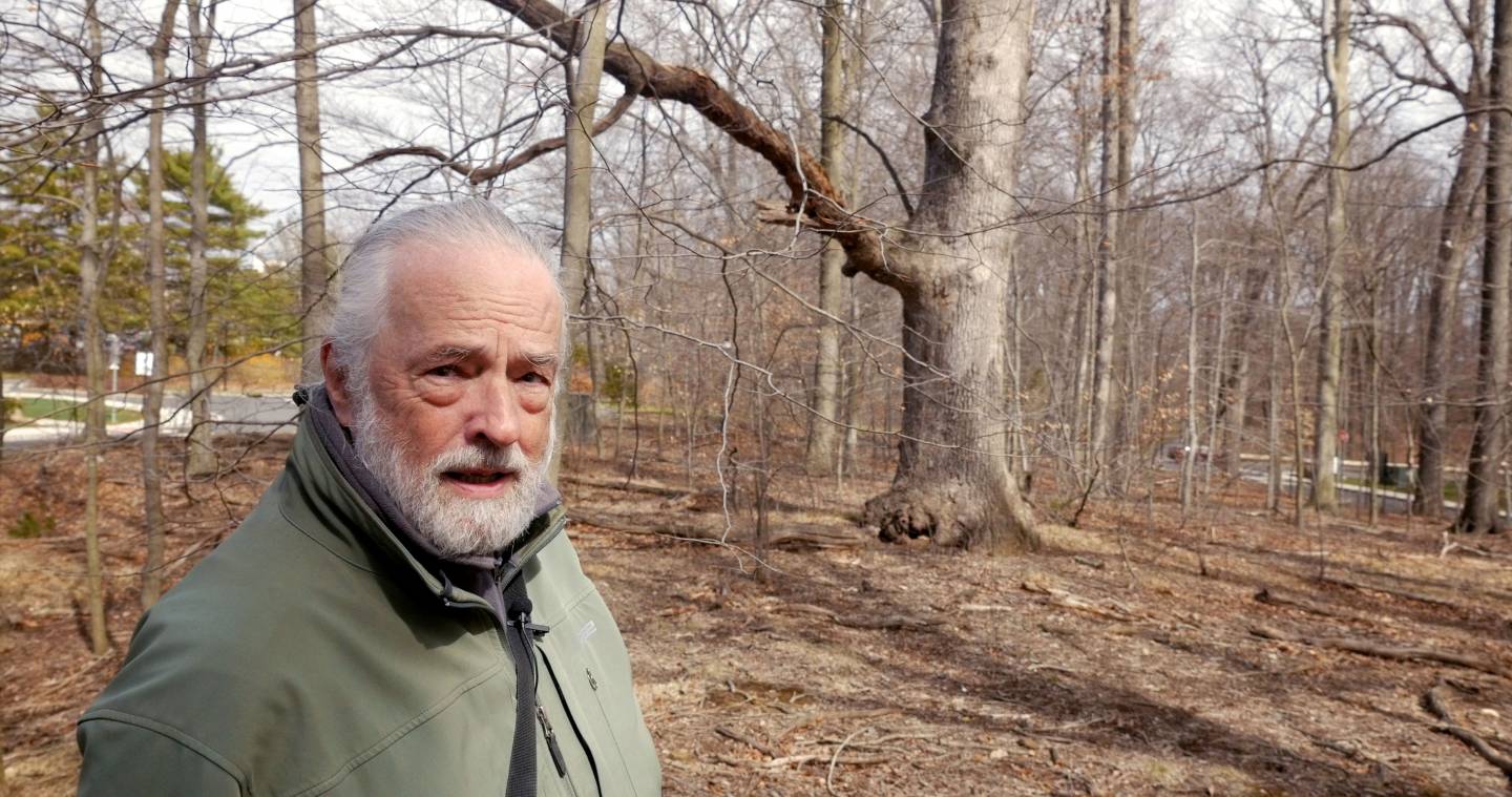 Ecologist Henry Horn, founding director of Program in Environmental ...