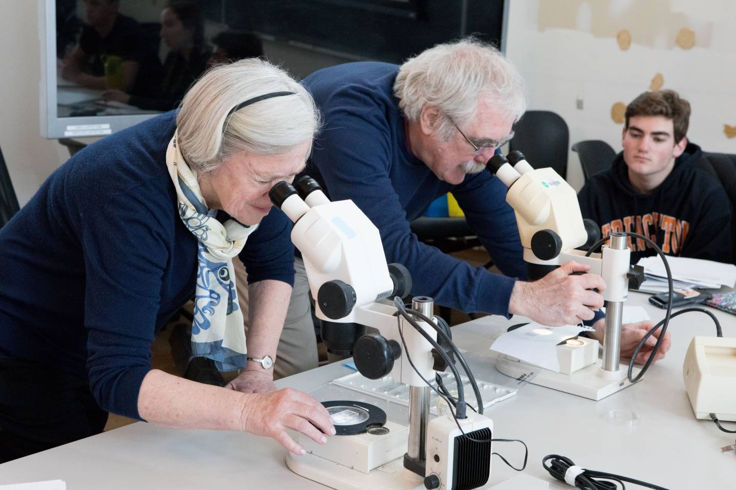 Beauty in science: The art and elegance of a great experiment