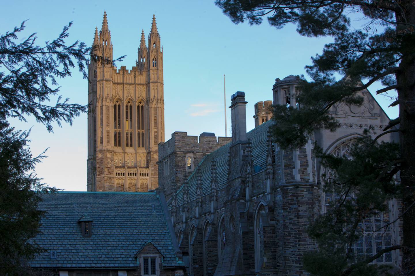 Four faculty members honored for excellence in mentoring graduate students