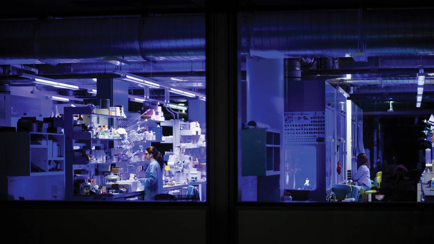 Bright future: Unlocking the potential of light