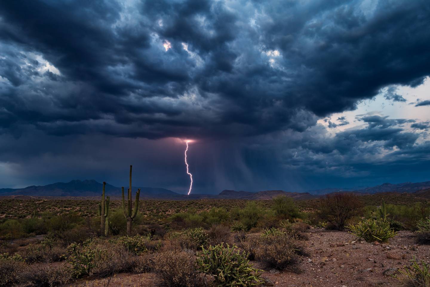 How global warming is drying up the North American monsoon